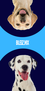 Premios y Alimento saludable para perro | BleizMx